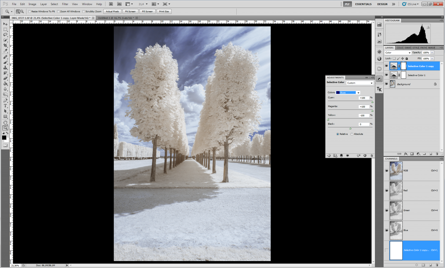 Le tutoriel photographie infrarouge de référence en 2025