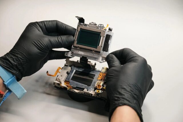 Débuter en photographie infrarouge en 2025 : le tutoriel de référence ...