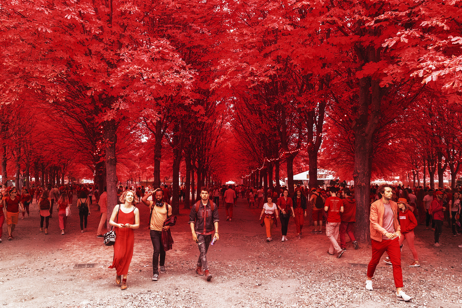 Rock en Seine (1ère partie) | Pierre-Louis Ferrer