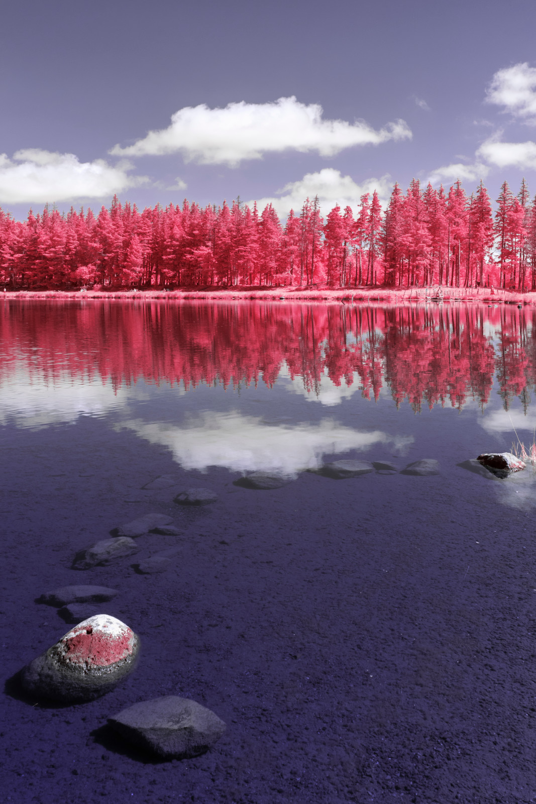 Infrared LUT | Pierre-Louis Ferrer