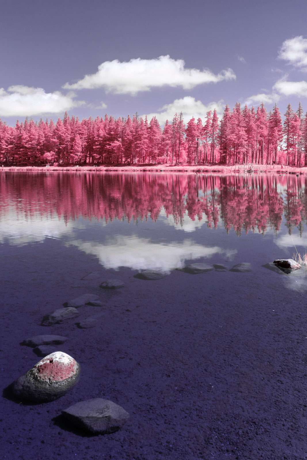 Infrared LUT | Pierre-Louis Ferrer