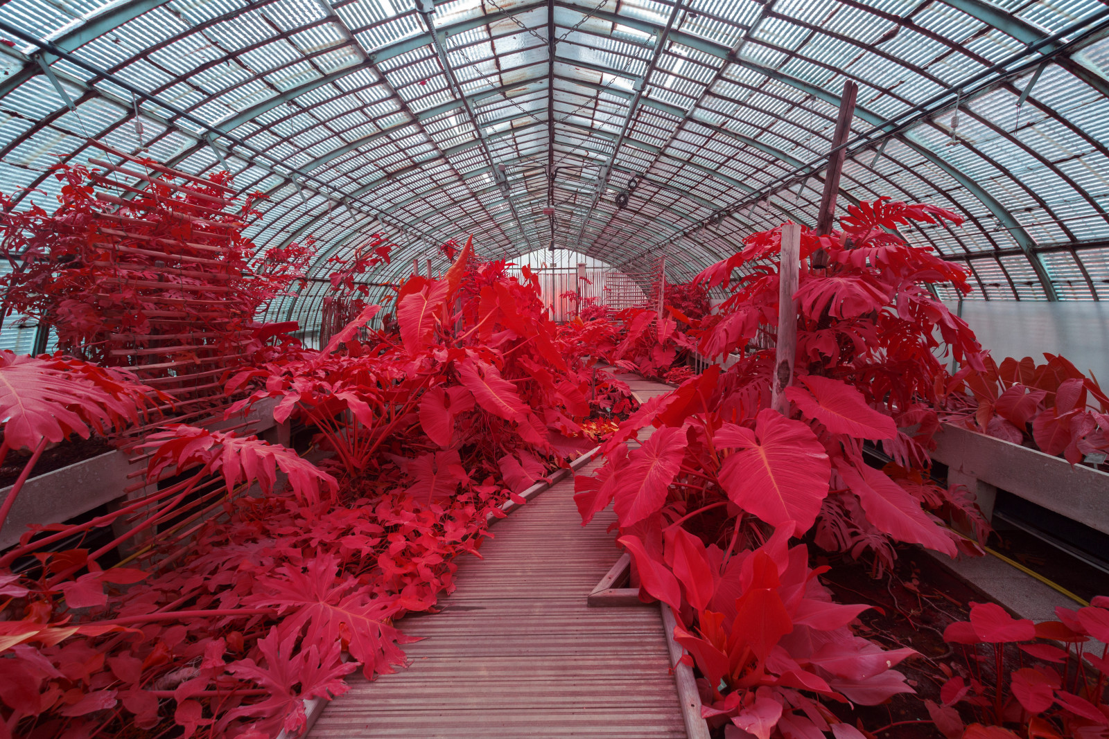 Infrared LUT | Pierre-Louis Ferrer