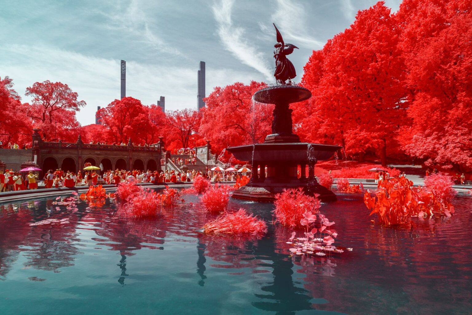 Le tutoriel photographie infrarouge de référence en 2025